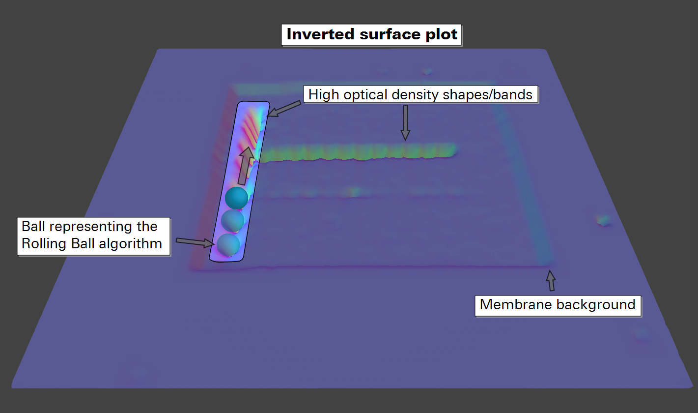Lane Method vs. Rolling Ball from ImageJ